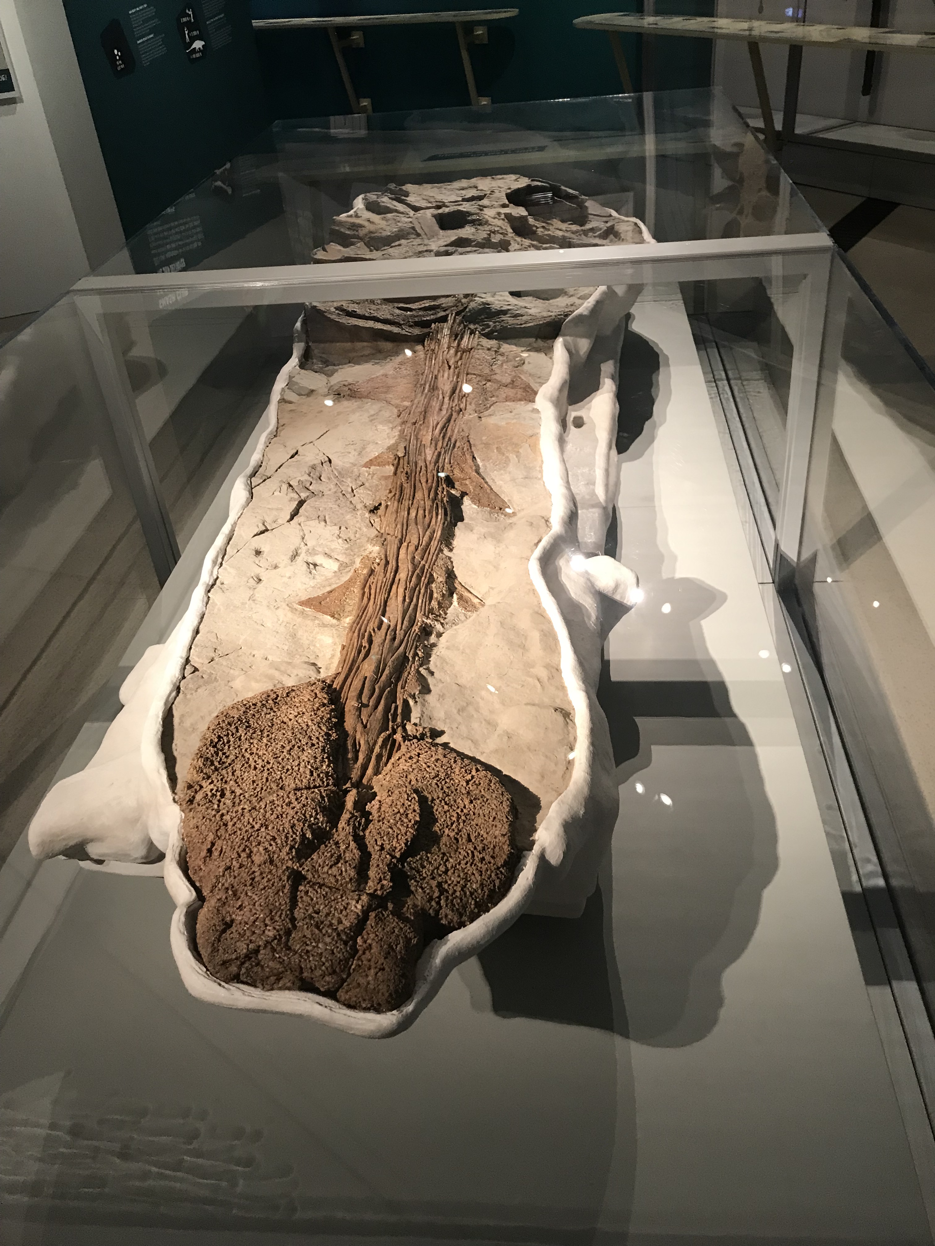 A Review of Zuul: The ROM Exhibition – Max's Blogo-Saurus