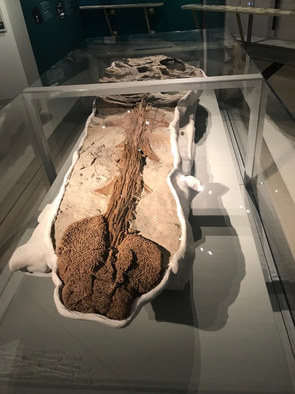 A Review of Zuul: The ROM Exhibition – Max's Blogo-Saurus