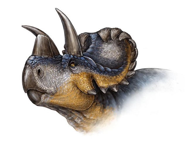 The Ceratopsians: A Multitude of Horns and Frills – Max's Blogo-Saurus