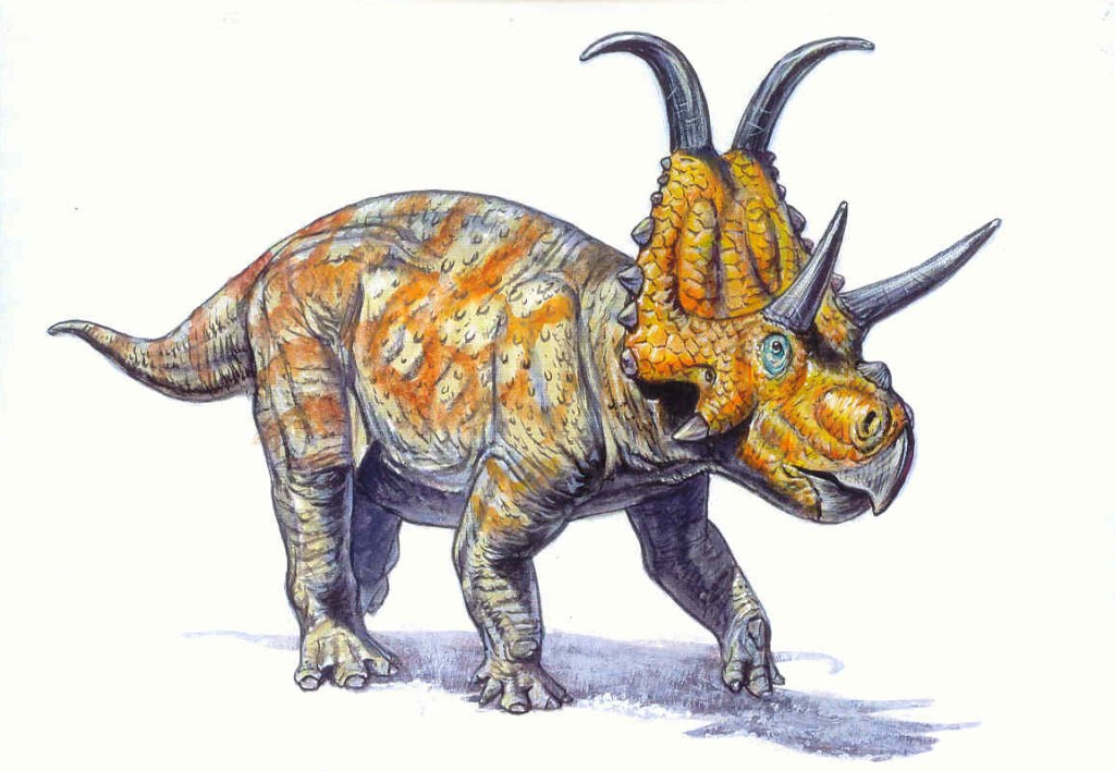 The Ceratopsians: A Multitude of Horns and Frills – Max's Blogo-Saurus