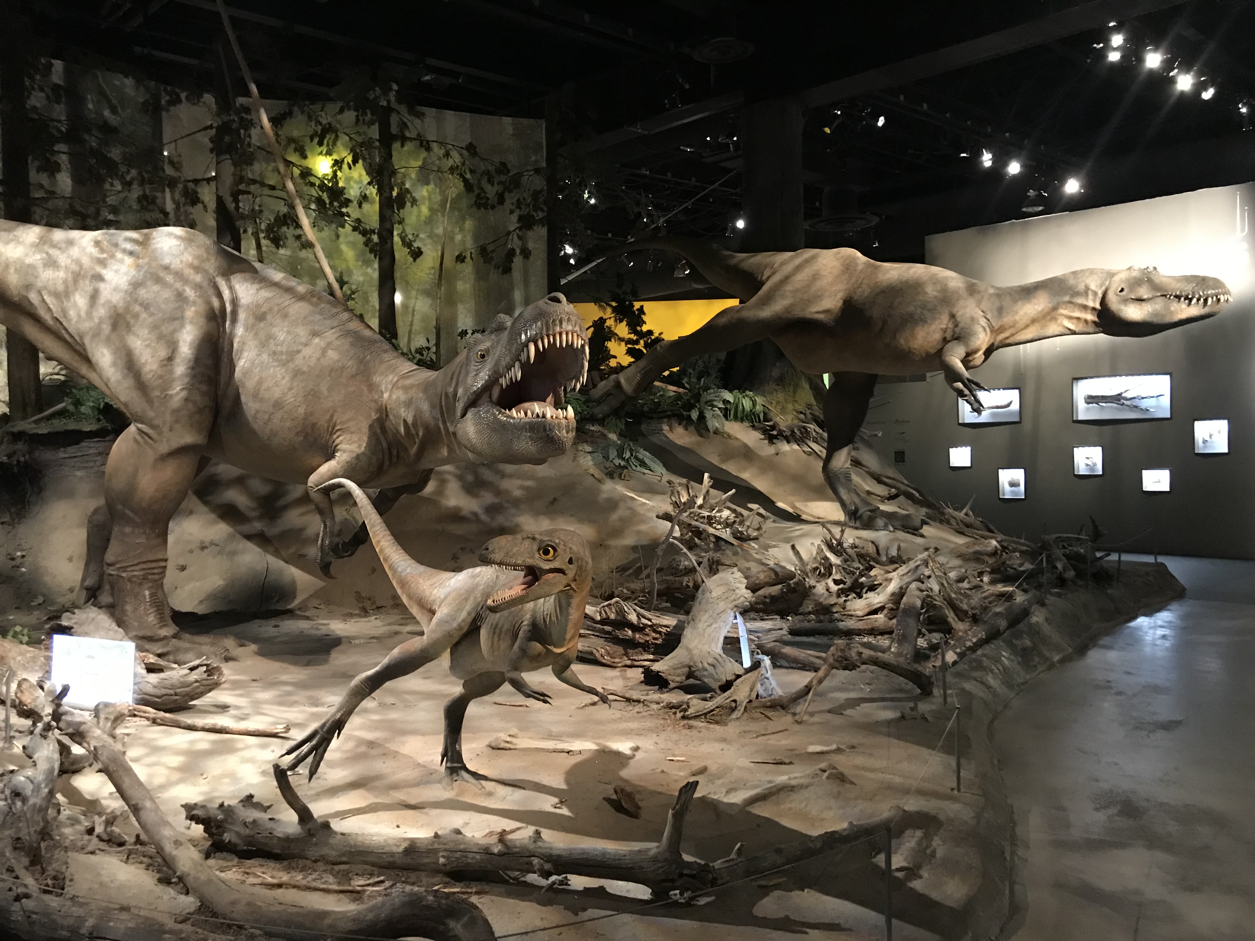 The Royal Tyrell: The Ultimate Museum of Prehistory – Max's Blogo-Saurus