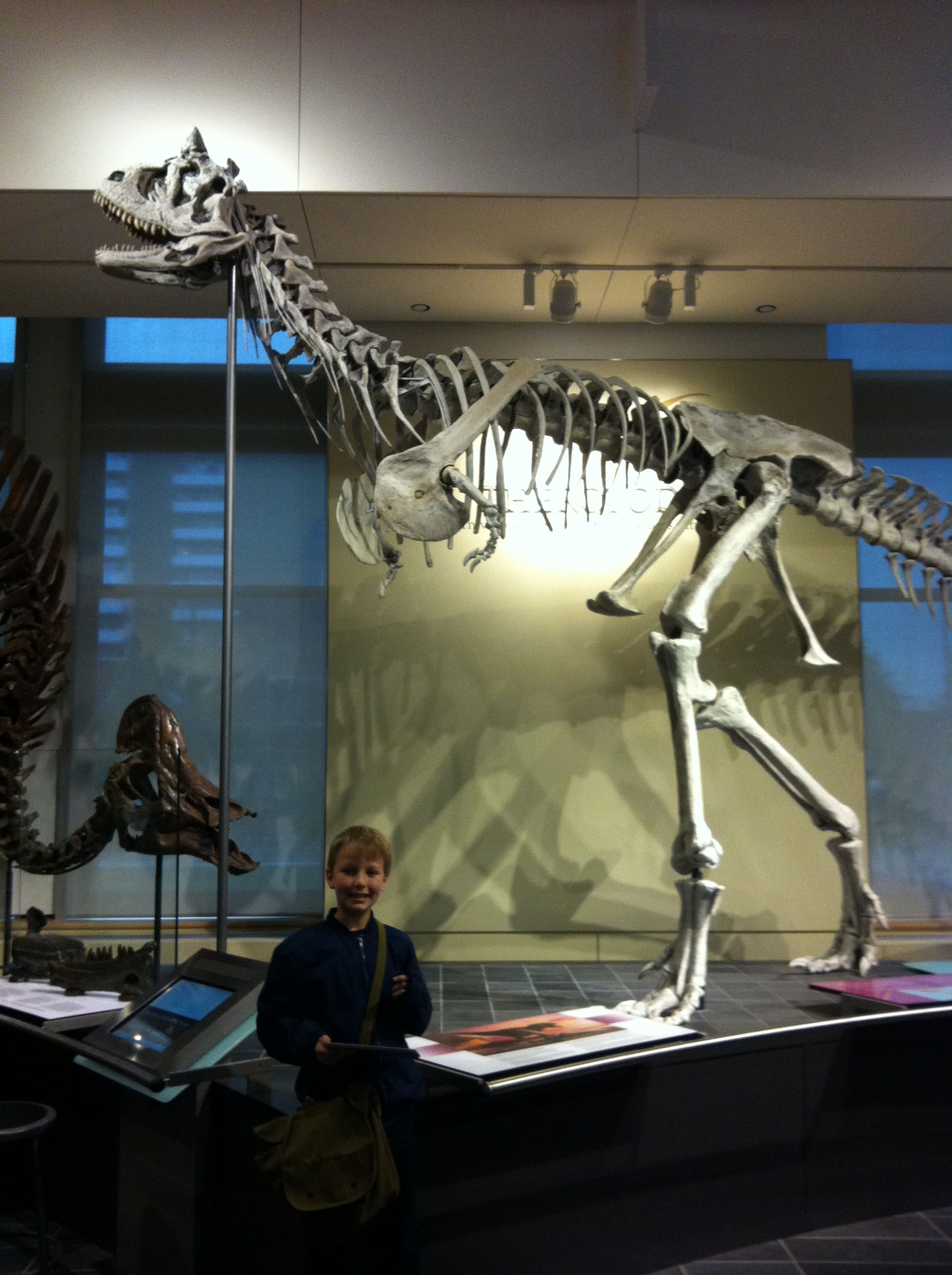 Meet The Meat-Eating Bull, Carnotaurus – Max's Blogo-Saurus