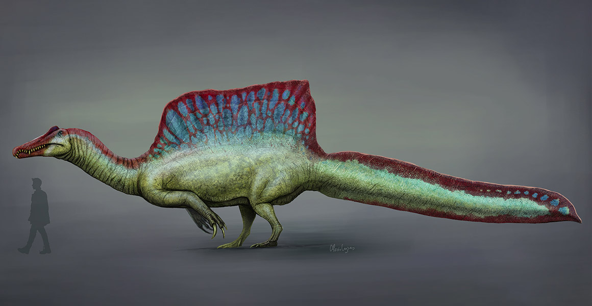 Spinosaurus Gets a Makeover – Again – Max's Blogo-Saurus