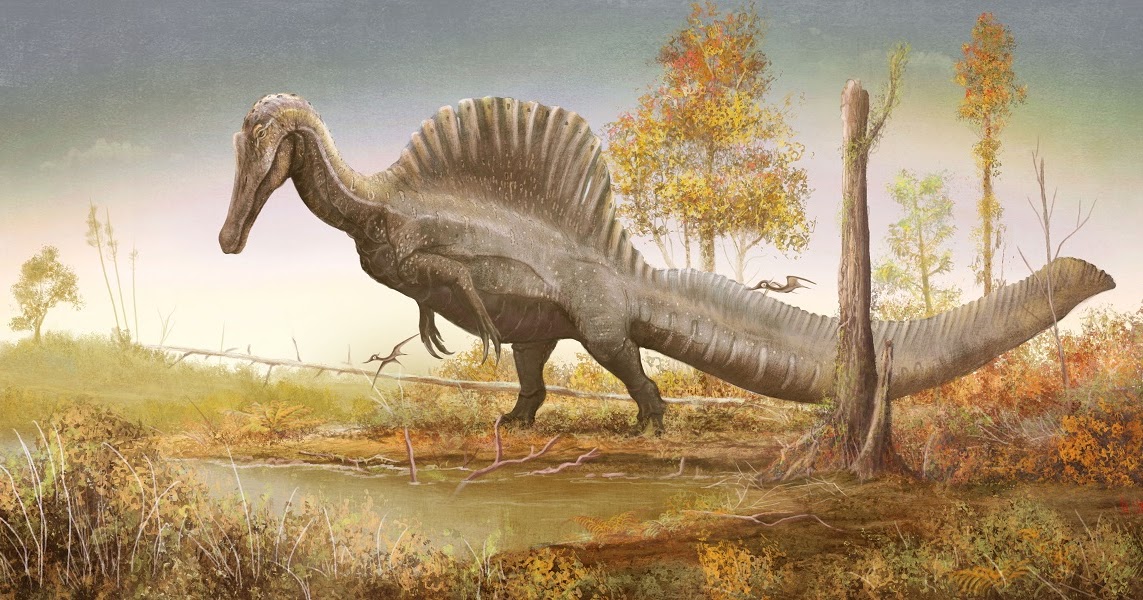 Spinosaurus Gets a Makeover – Again – Max's Blogo-Saurus