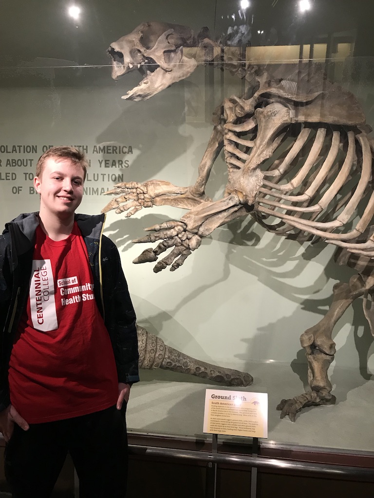 The Fascinating Ancestry of the Sloth – Max's Blogo-Saurus