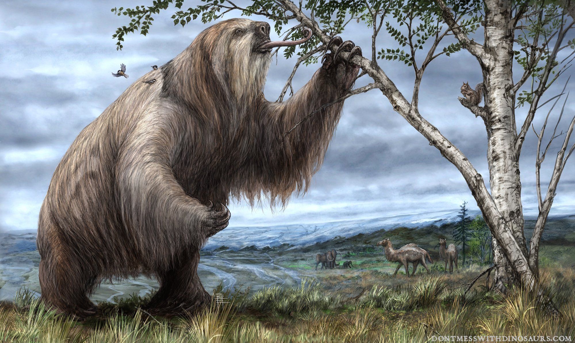 50 Fun Facts About Prehistory & Paleontology – Max's Blogo-Saurus