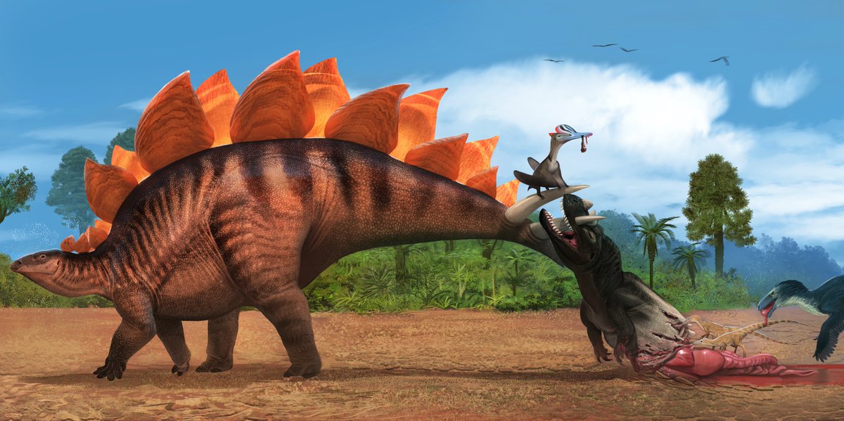 The Far Side of Stegosaurus’ Tail – Max's Blogo-Saurus