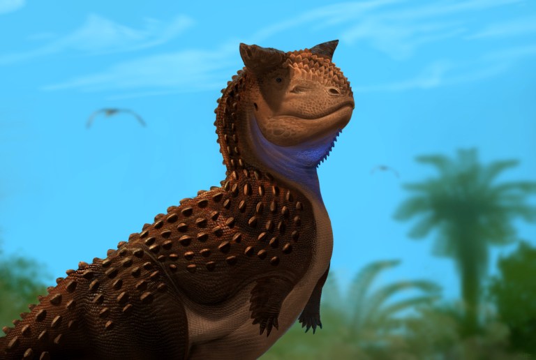 50 Fun Facts About Prehistory & Paleontology – Max's Blogo-Saurus