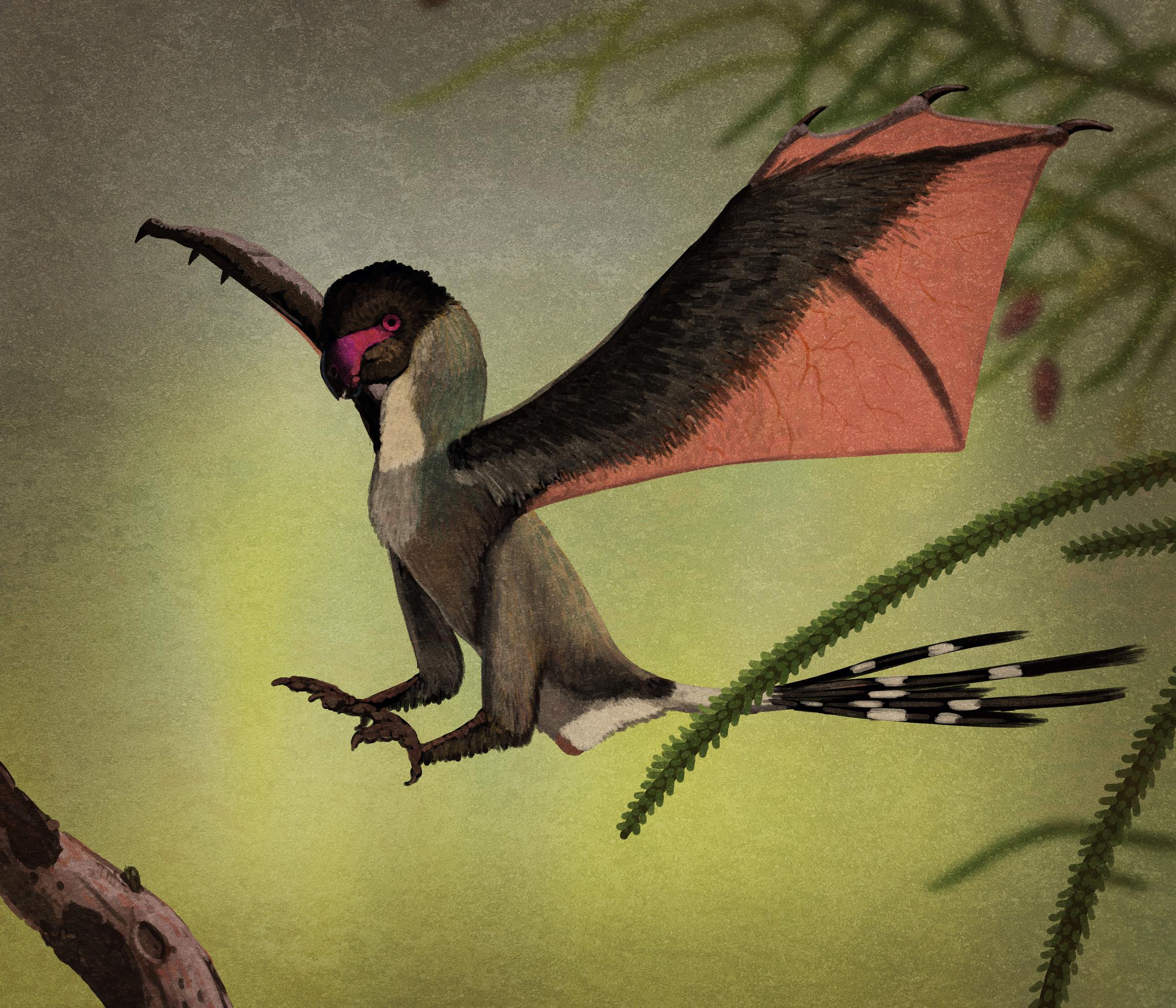50 Fun Facts About Prehistory & Paleontology – Max's Blogo-Saurus