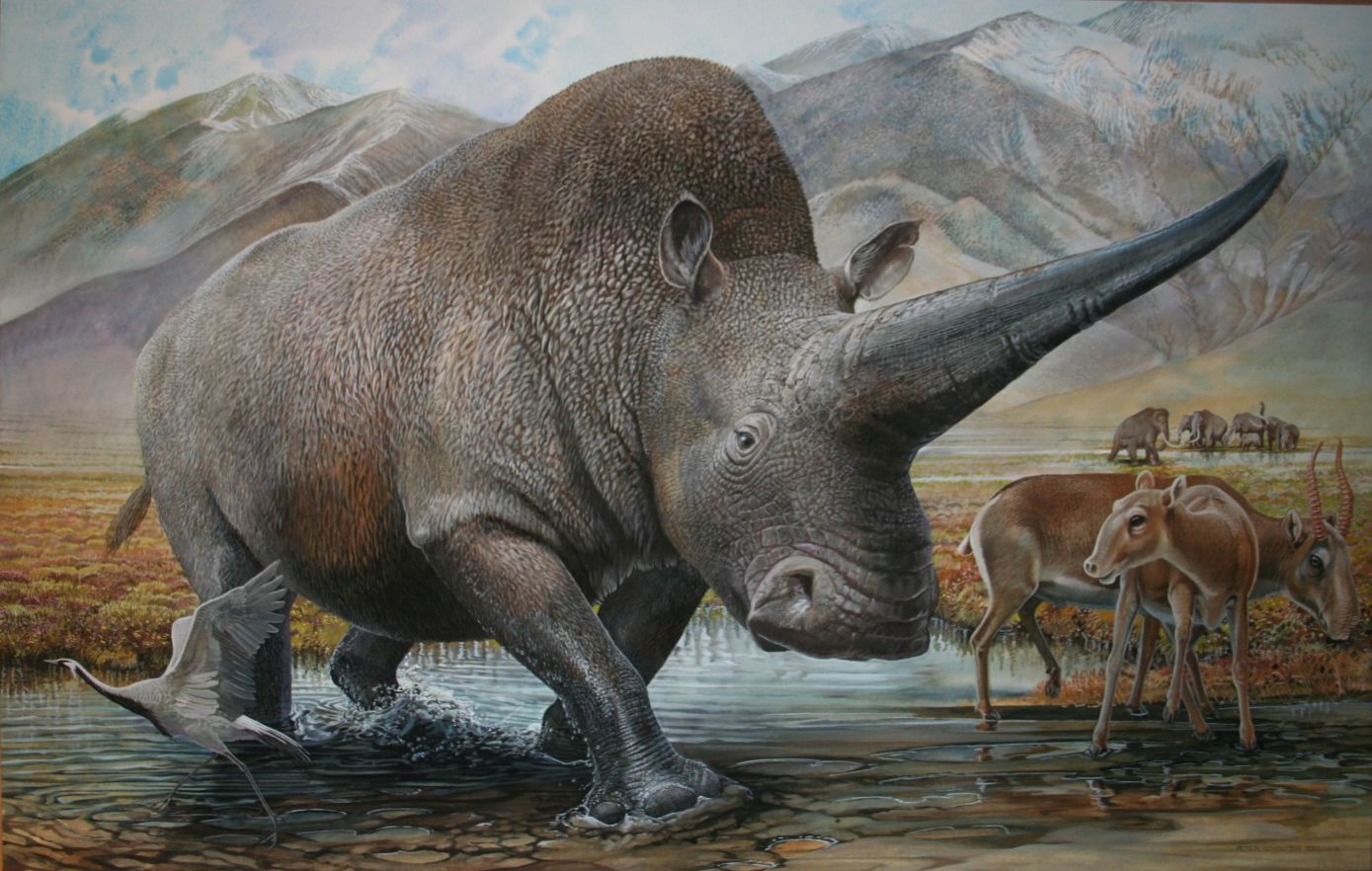 A Farewell to the Siberian Unicorn? – Max's Blogo-Saurus