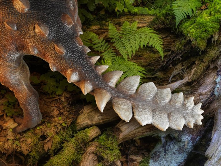 When is a Stegosaur not a Stegosaur? – Max's Blogo-Saurus