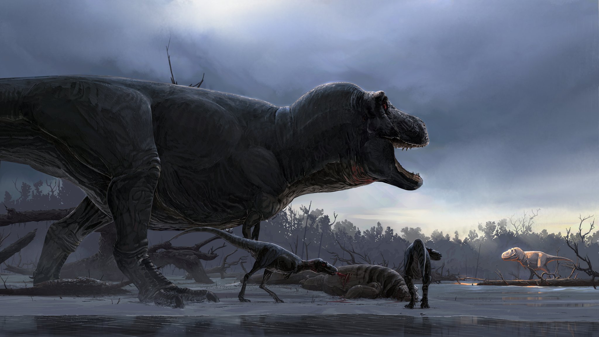 The Tyrannosaurus Trifecta: Questions Regarding T-rex’s Species Split ...