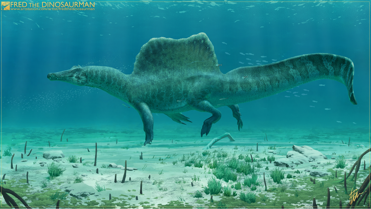 Spinosaurus Swimming By Manuelsaurus