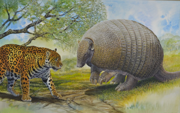 The Crossroads of History: America’s Great Biotic Interchange – Max's ...