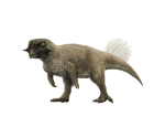 Meet Psittacosaurus, The Dinosaur That Keeps on Giving – Max's Blogo-Saurus