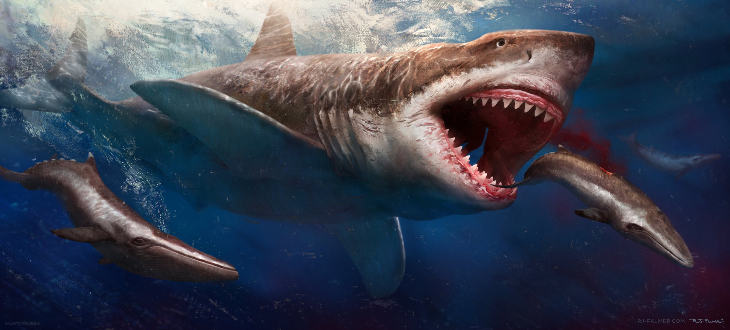 A Megalodon’s Appetite: A New, Ground-Breaking Study – Max's Blogo-Saurus