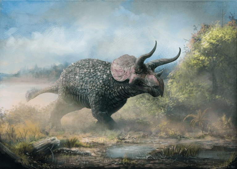 Horned, Horrid, and Humongous: A Profile of Triceratops – Max's Blogo ...