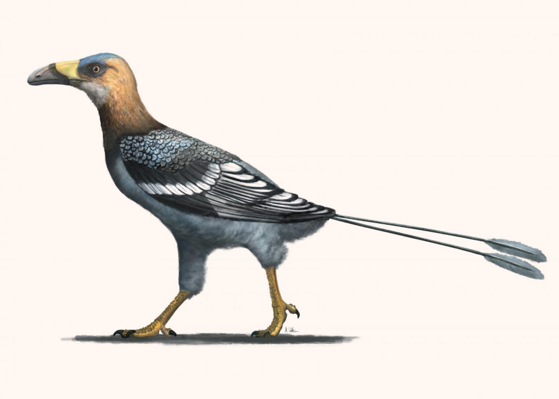 A Complete Guide to the Dinosaurs and Prehistoric Life of Madagascar’s ...