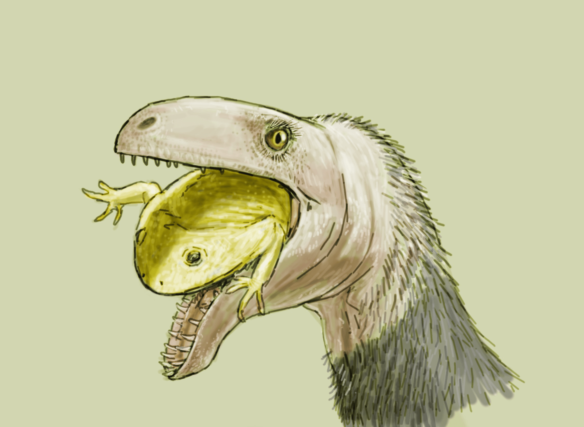 A Complete Guide to the Dinosaurs and Prehistoric Life of Madagascar’s ...