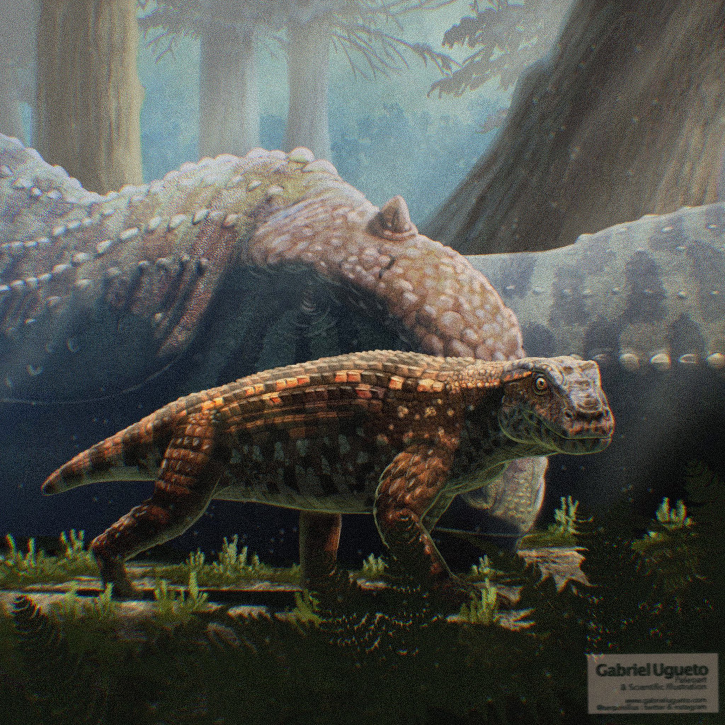 A Complete Guide to the Dinosaurs and Prehistoric Life of Madagascar’s ...