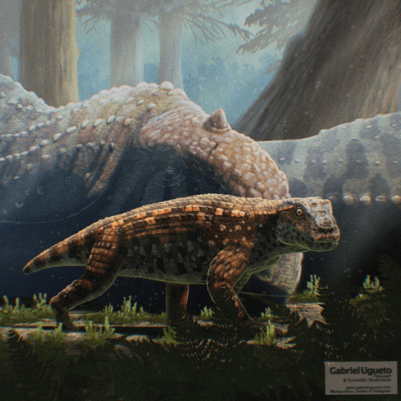 A Complete Guide to the Dinosaurs and Prehistoric Life of Madagascar’s Maevarano Formation – Max ...