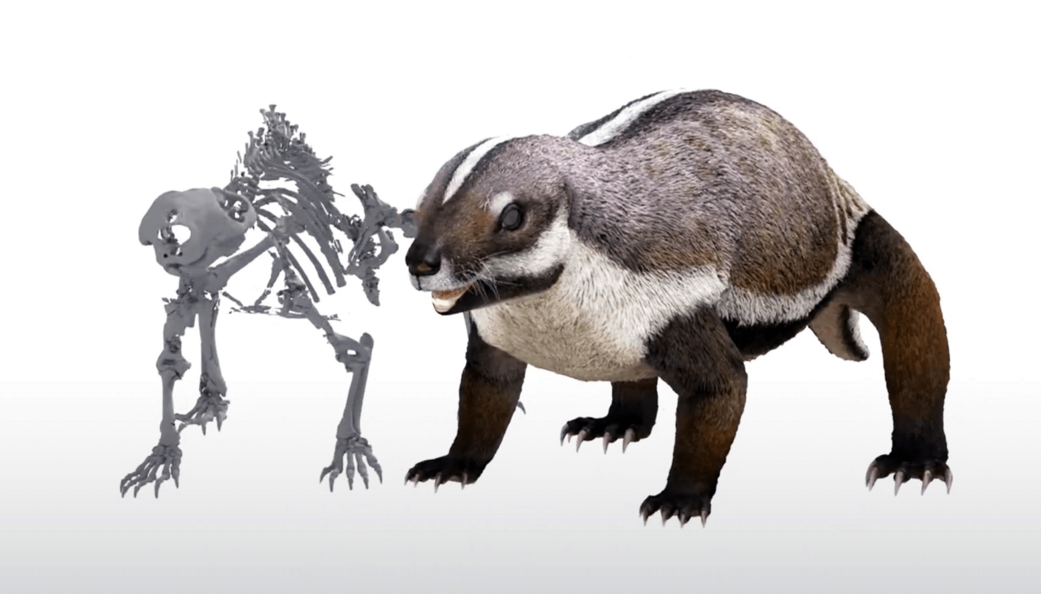 A Complete Guide to the Dinosaurs and Prehistoric Life of Madagascar’s ...