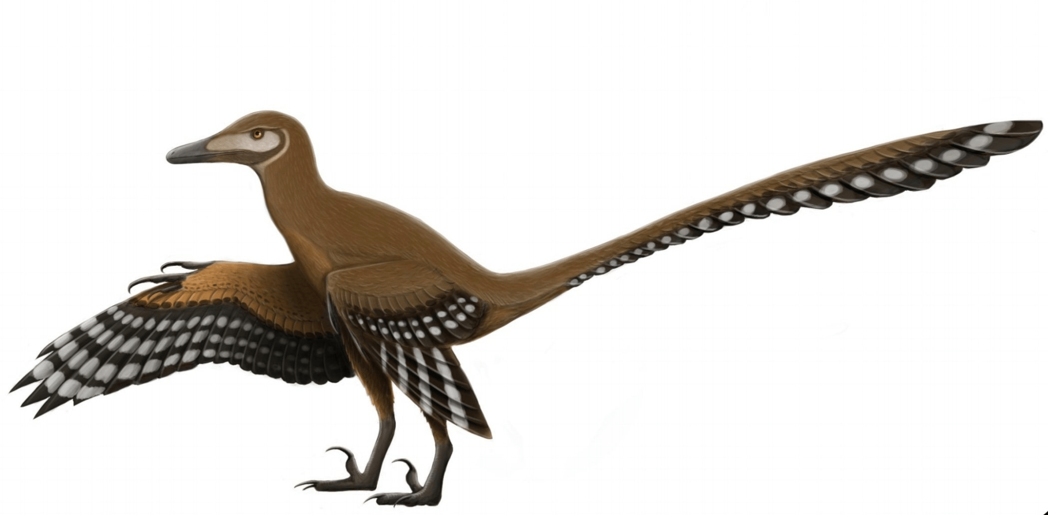 A Complete Guide to the Dinosaurs and Prehistoric Life of Madagascar’s ...