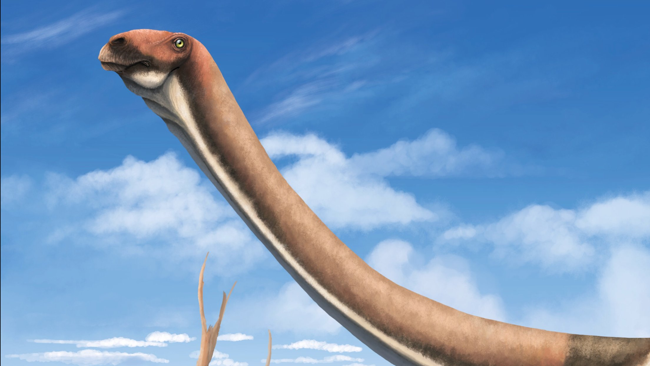 A Complete Guide to the Dinosaurs and Prehistoric Life of Madagascar’s ...