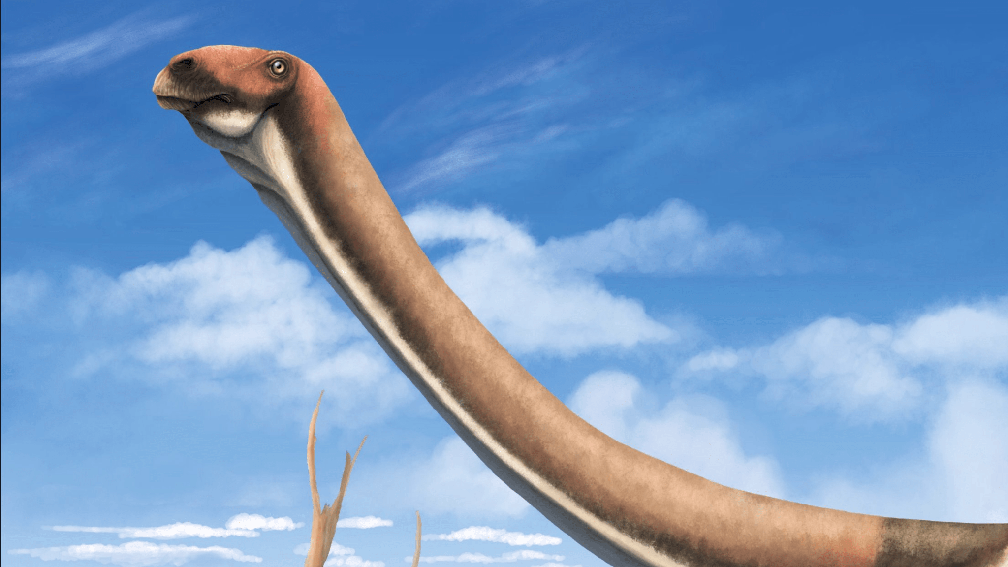 A Complete Guide to the Dinosaurs and Prehistoric Life of Madagascar’s ...