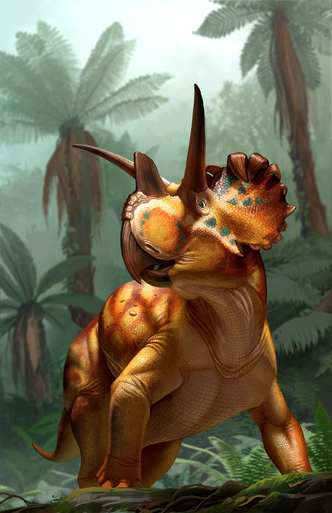 Special Article: Wendiceratops, Sloboda’s Horned Dinosaur – Max's Blogo ...