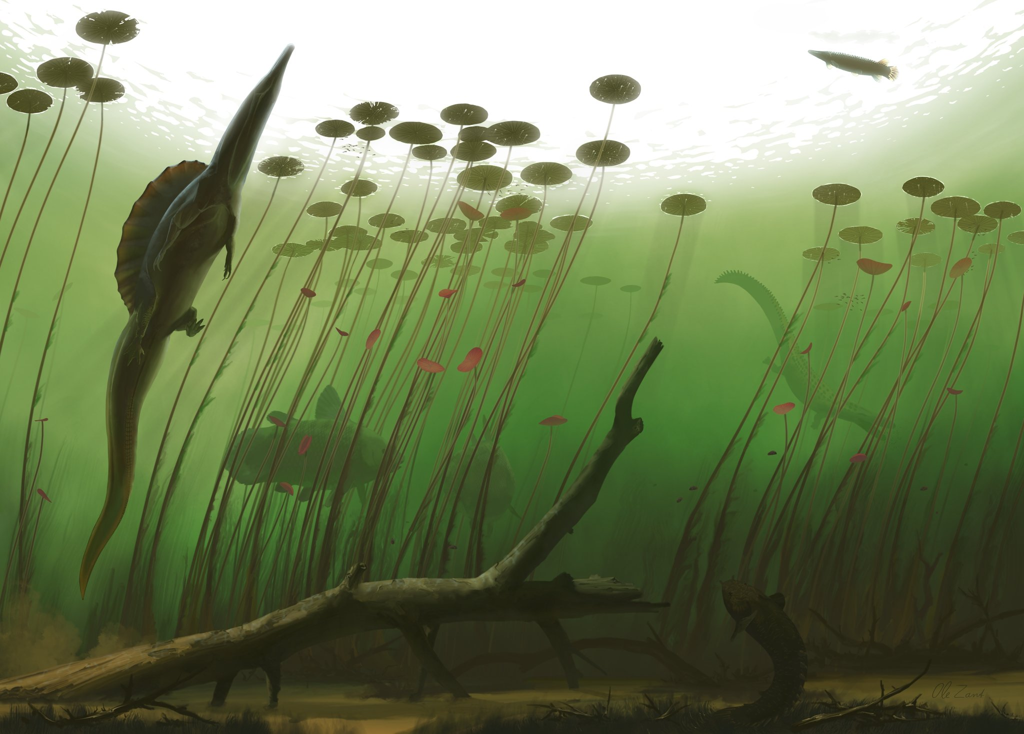Why are Paleontologists Obsessed with Spinosaurus? – Max's Blogo-Saurus