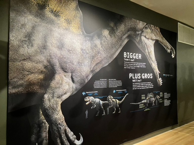 T. Rex: The Ultimate Predator Image Gallery – Max's Blogo-Saurus