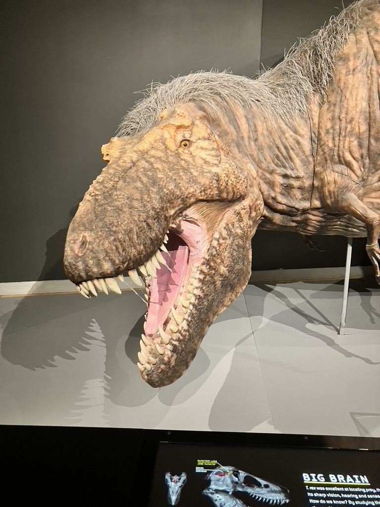 T. Rex: The Ultimate Predator Exhibit Review – Max's Blogo-Saurus
