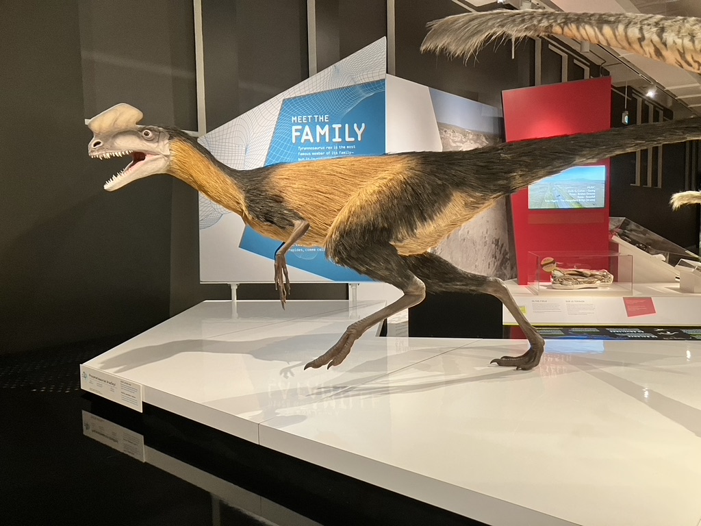 T. Rex: The Ultimate Predator Image Gallery – Max's Blogo-Saurus