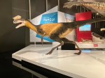 T. Rex: The Ultimate Predator Exhibit Review – Max's Blogo-Saurus