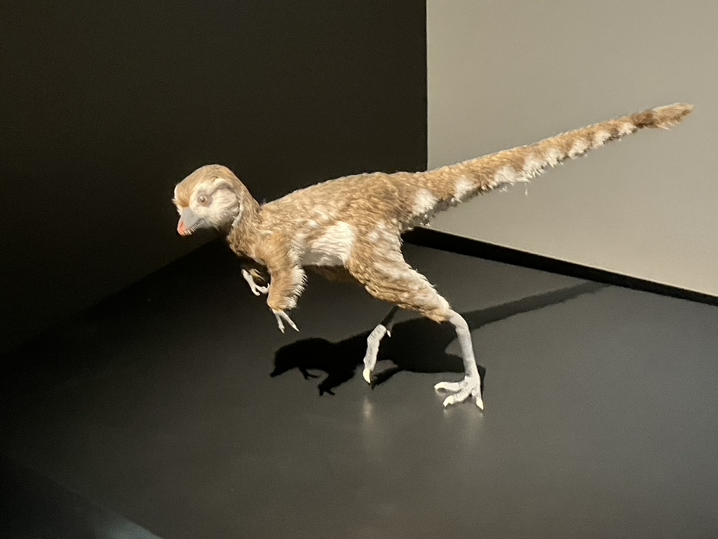 T. Rex: The Ultimate Predator Exhibit Review – Max's Blogo-Saurus