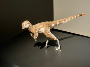 T. Rex: The Ultimate Predator Exhibit Review – Max's Blogo-Saurus