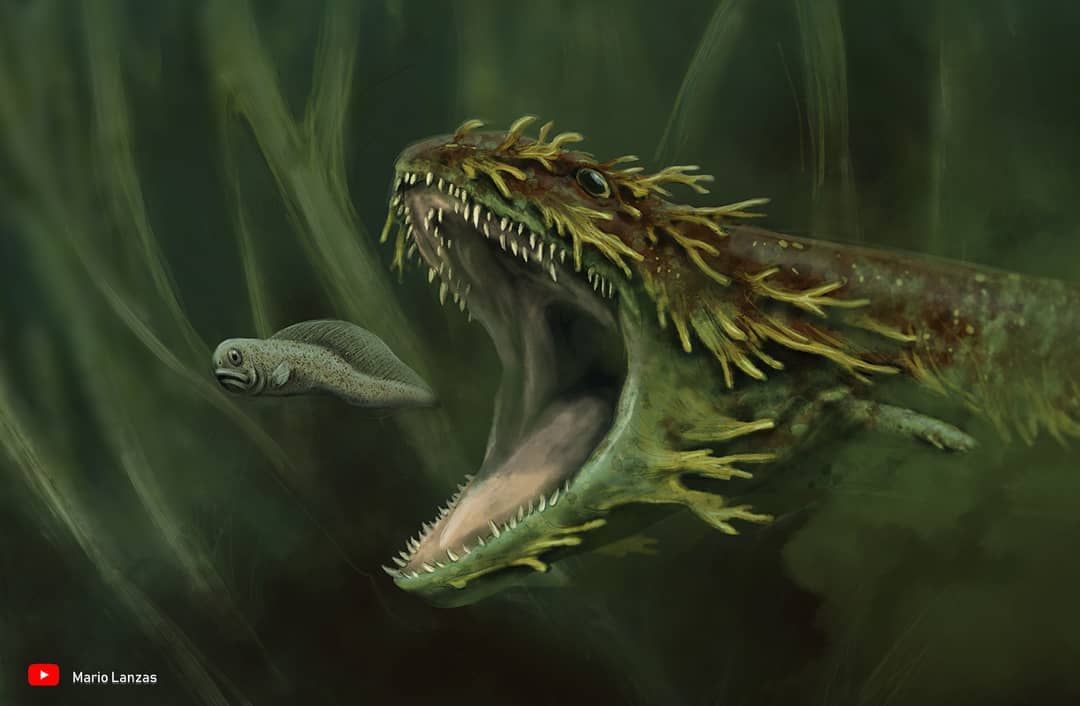 Real Swamp Creatures