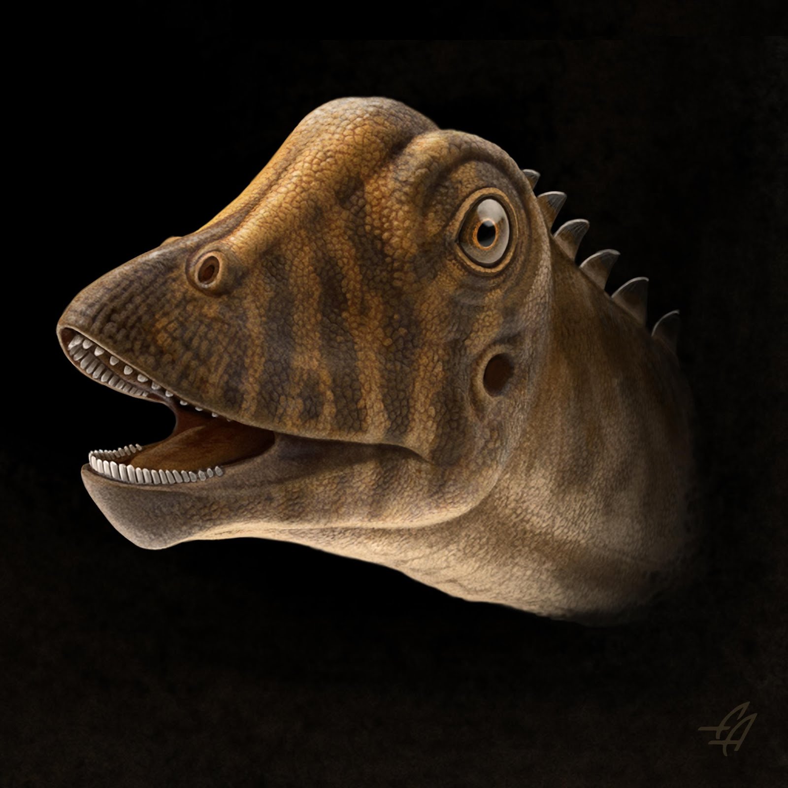 The Mother’s Day Quarry & Growing up Diplodocus – Max's Blogo-Saurus