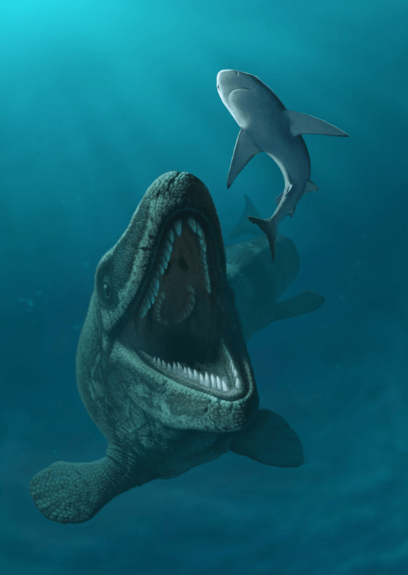 Mosasaur Venom: Speculation and Evidence – Max's Blogo-Saurus