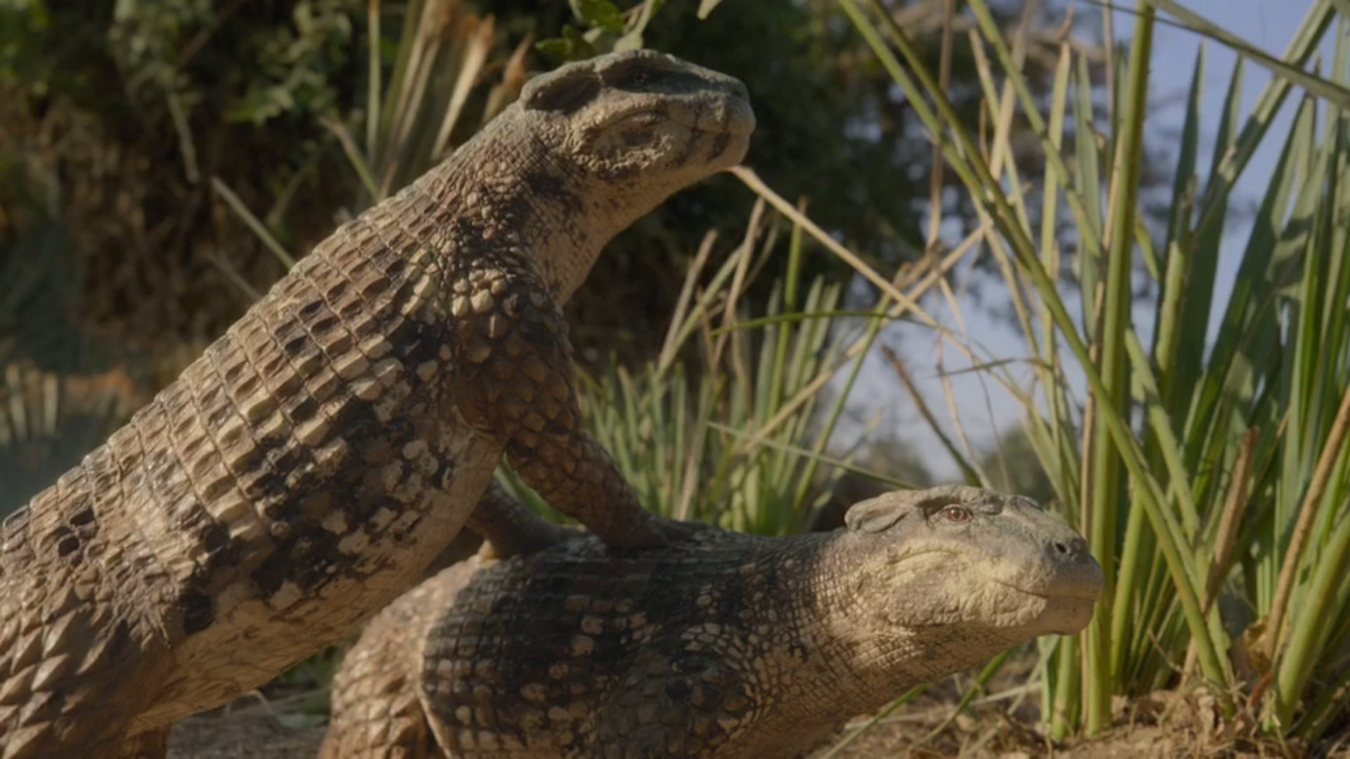 Prehistoric Planet Season Two, Episode One: Islands – Max's Blogo-Saurus