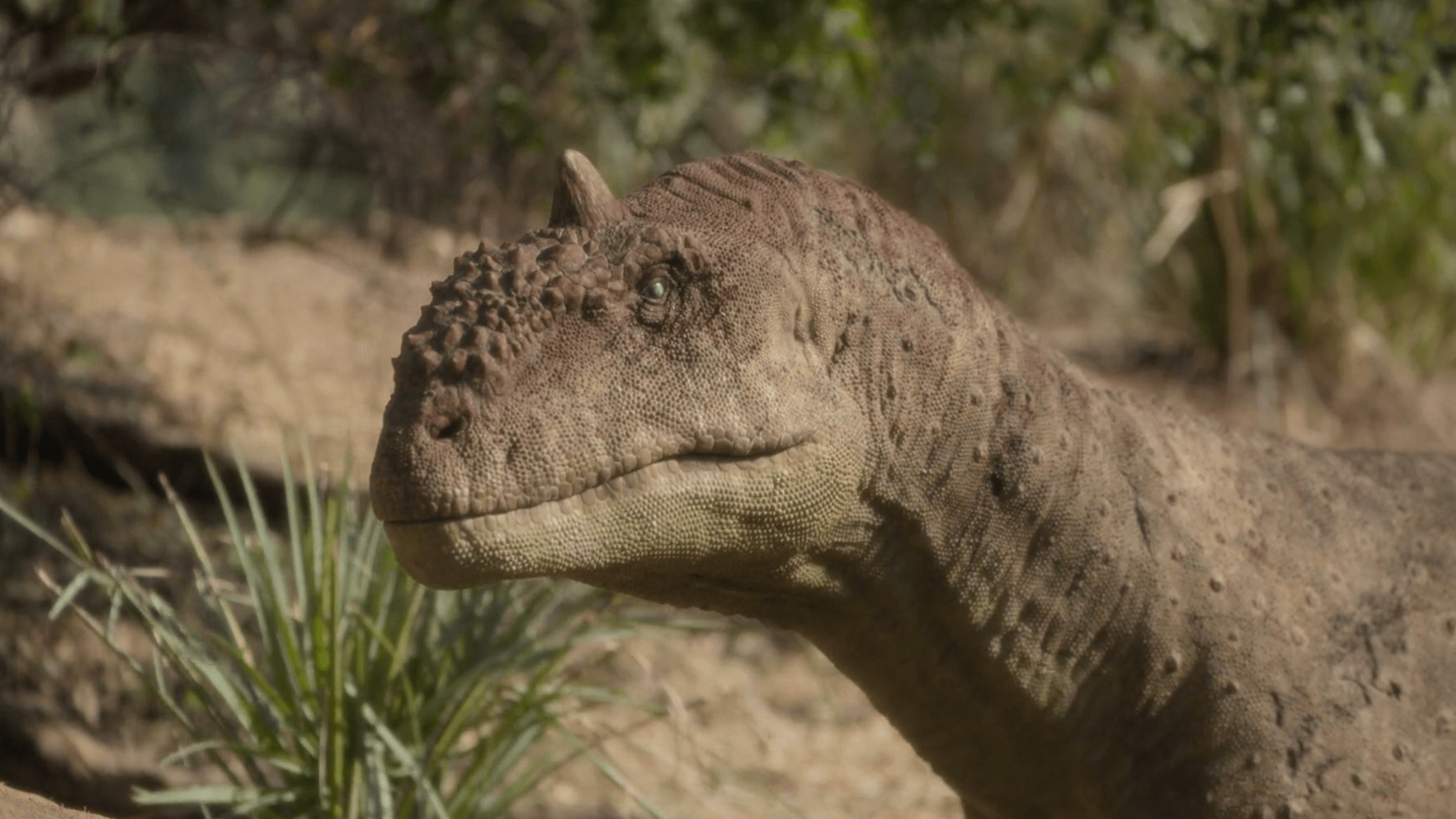 A Complete Guide to the Species of Prehistoric Planet: Season 2 ...