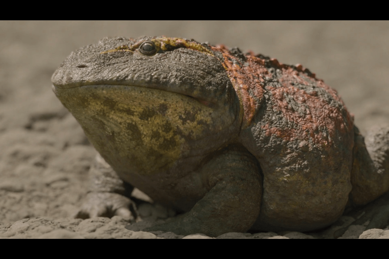 A Complete Guide to the Species of Prehistoric Planet: Season 2 ...