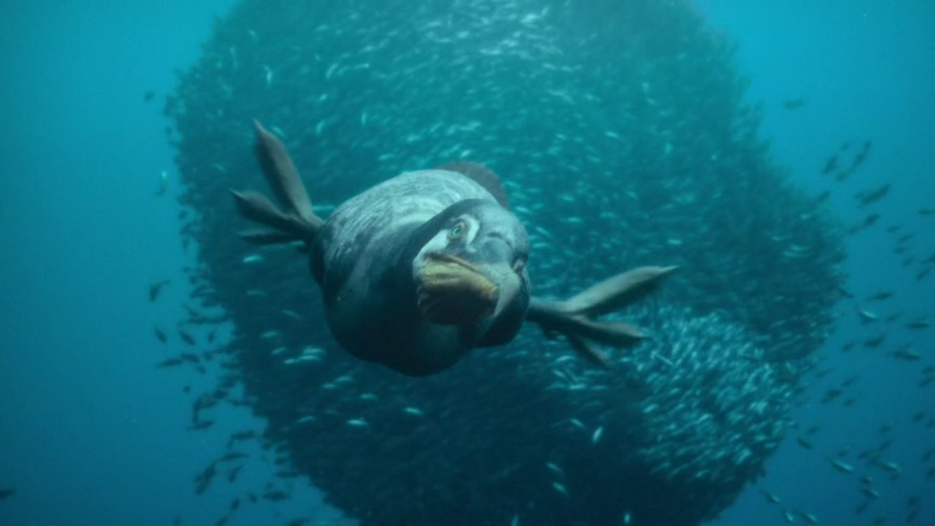 A Complete Guide to the Species of Prehistoric Planet: Season 2 ...
