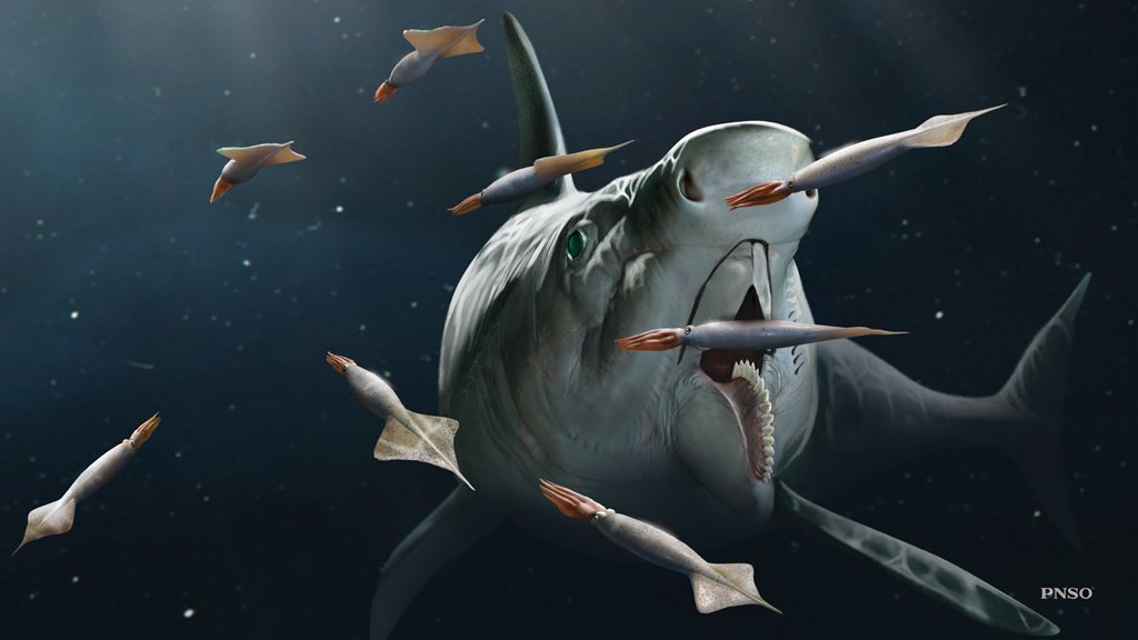 Blade Runner: Helicoprion & The Strangest Jaws in the Fossil Record ...