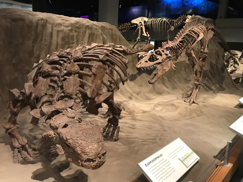 Zuul crurivastator & the True Origins of Ankylosaur Tail Clubs – Max's ...