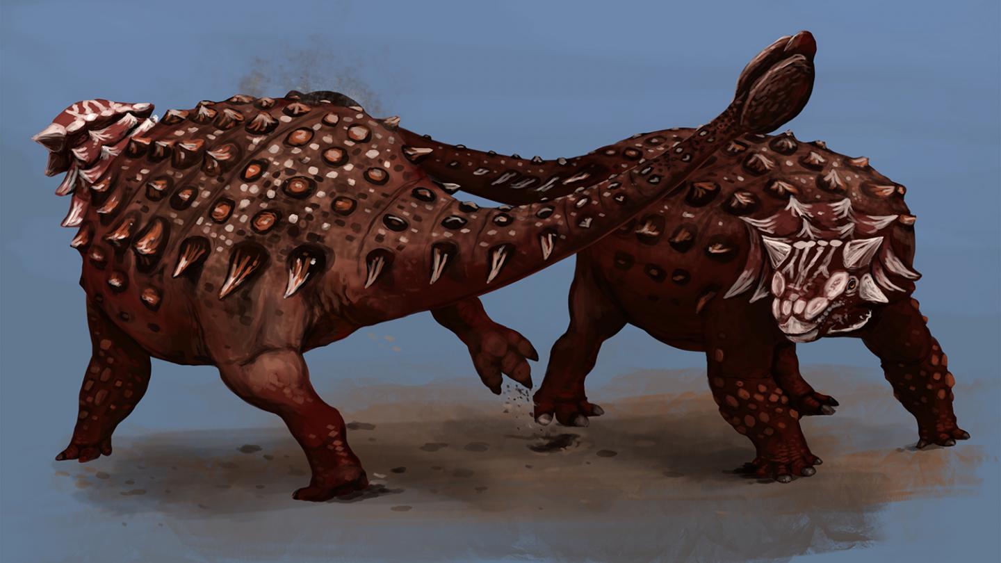 Zuul crurivastator & the True Origins of Ankylosaur Tail Clubs – Max's ...