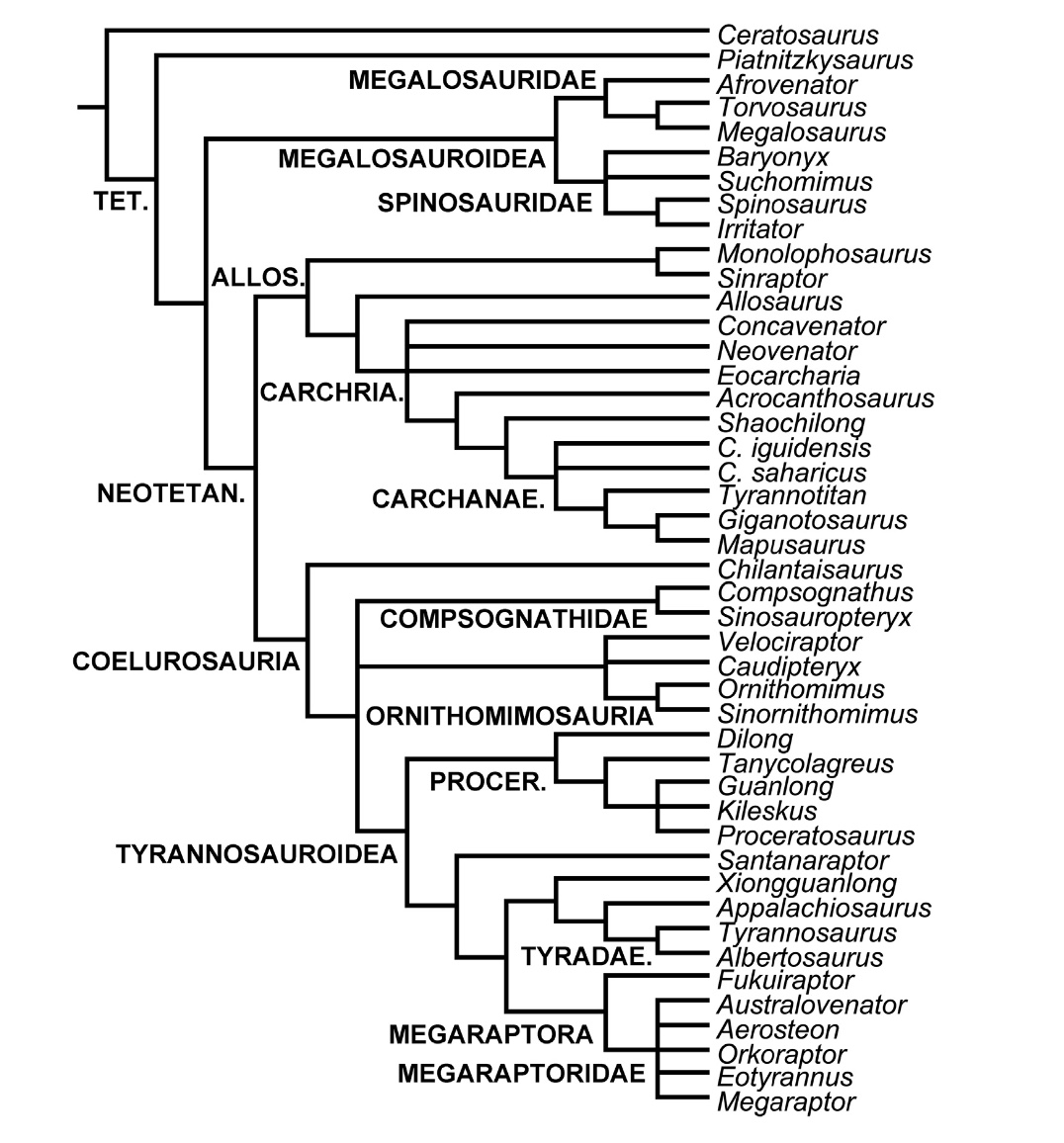 The Mystery of Megaraptor & the Megaraptorans – Max's Blogo-Saurus