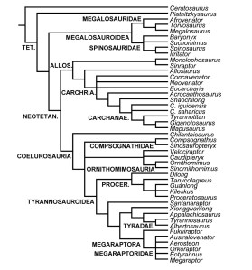 The Mystery of Megaraptor & the Megaraptorans – Max's Blogo-Saurus
