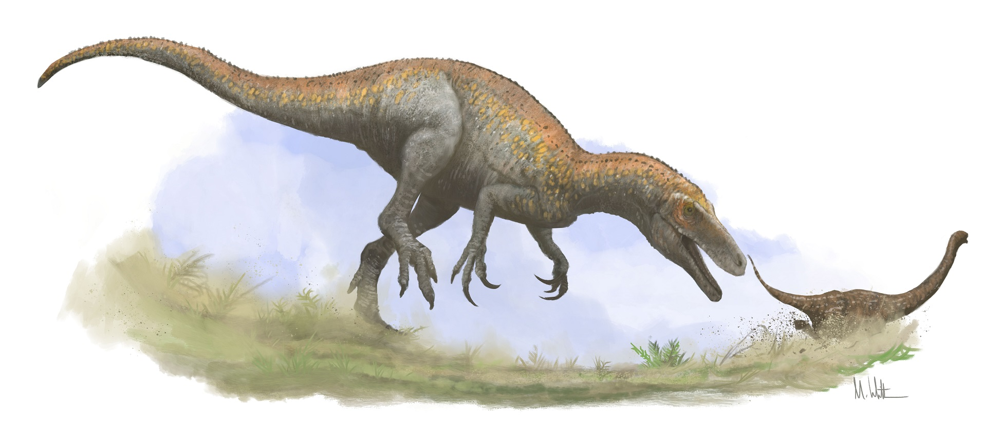 The Mystery of Megaraptor & the Megaraptorans – Max's Blogo-Saurus